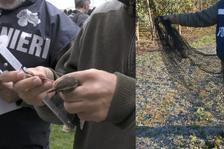 Morte di Erika Ferini Strambi: Autopsia Richiede Ulteriori Accertamenti ...