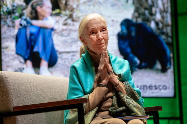 Netflix lancia ‘Famous Last Words’: Jane Goodall inaugura la serie con ...